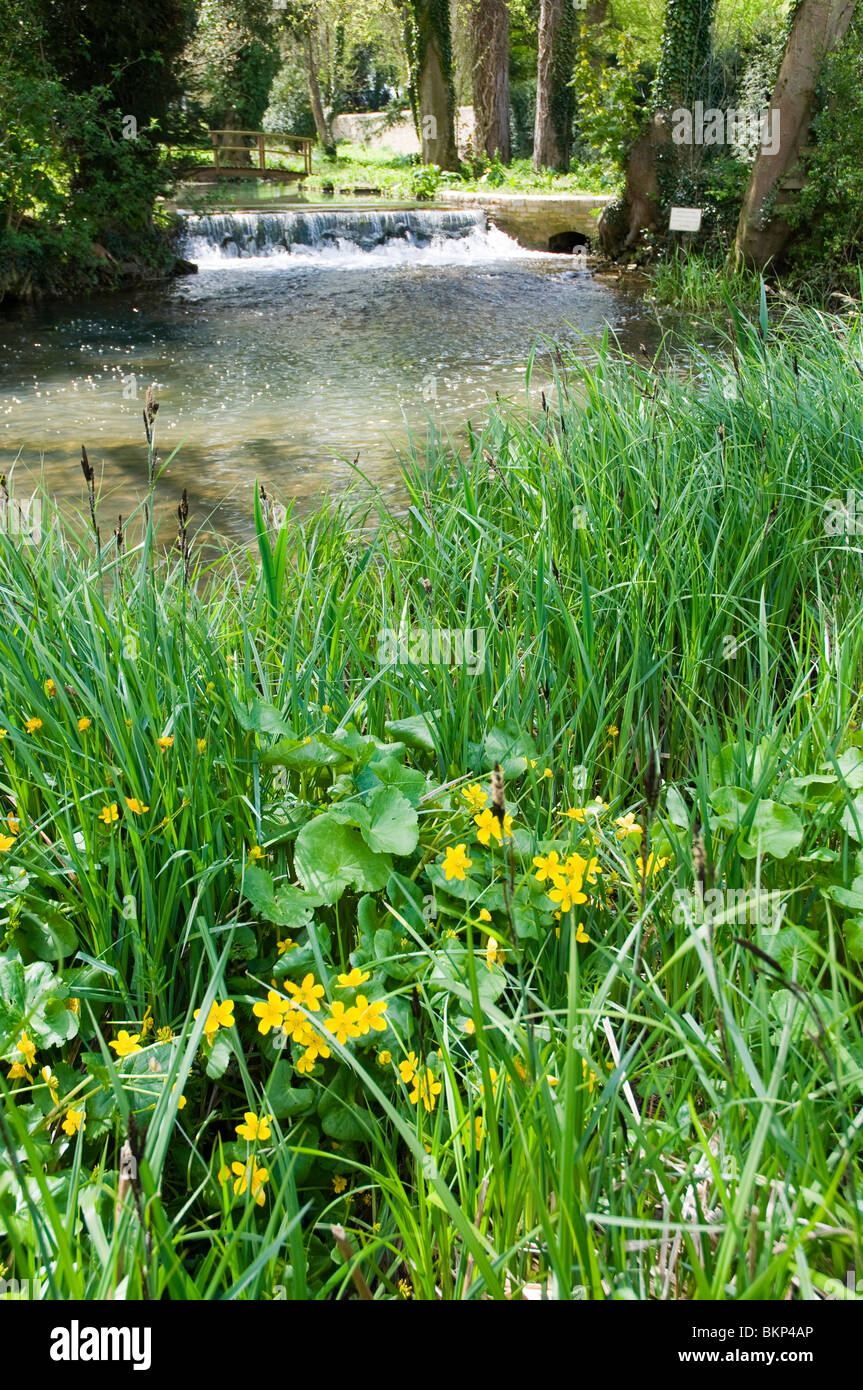 The river Glyme at Glympton, Oxfordshire, with a footbridge and small ...