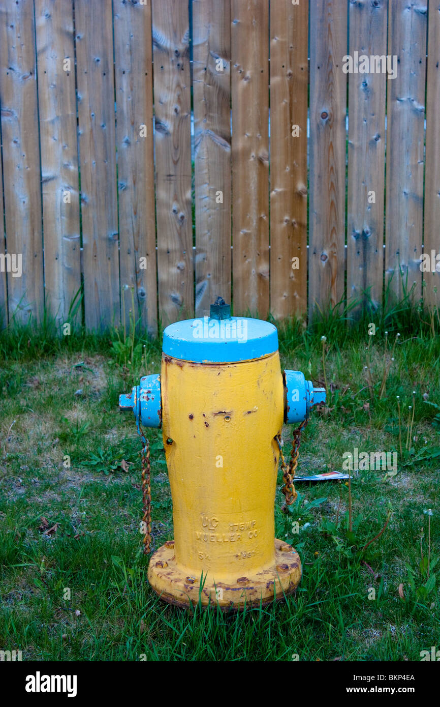 Fence Around Fire Hydrant at Lucinda Mccathie blog