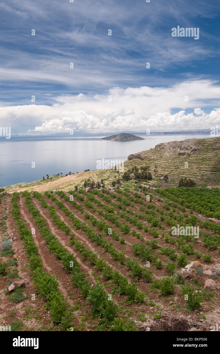 Amantani Island (Isla Amantani), Lake Titicaca, Peru Stock Photo - Alamy