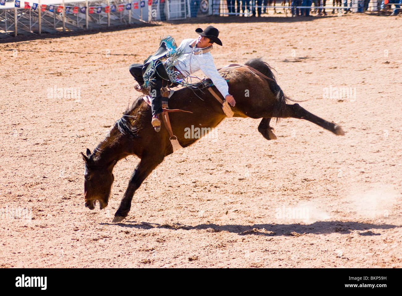 Bareback horse riding hi-res stock photography and images - Alamy