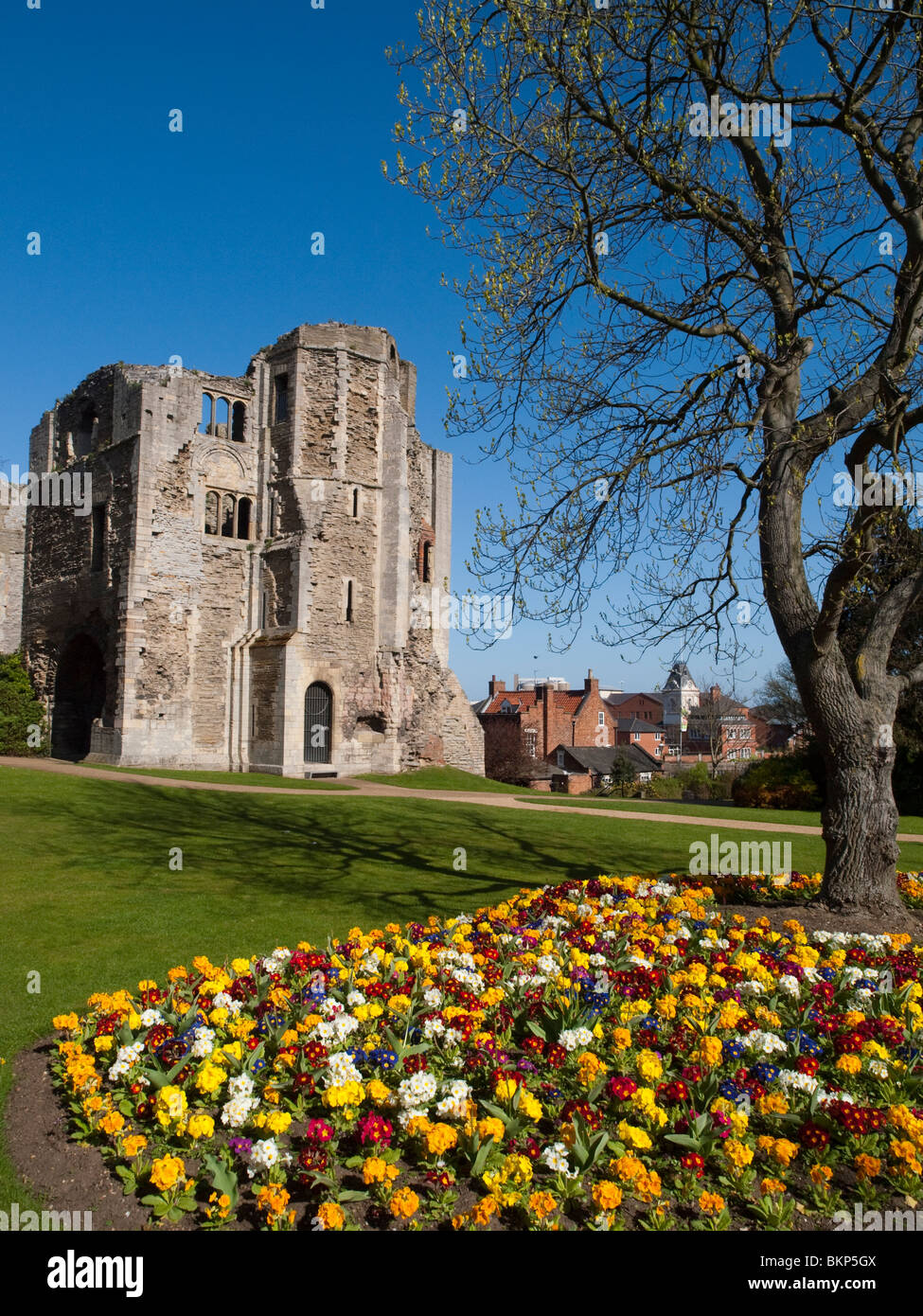 Pretty spring flowers in the Newark Castle Gardens, Nottinghamshire ...