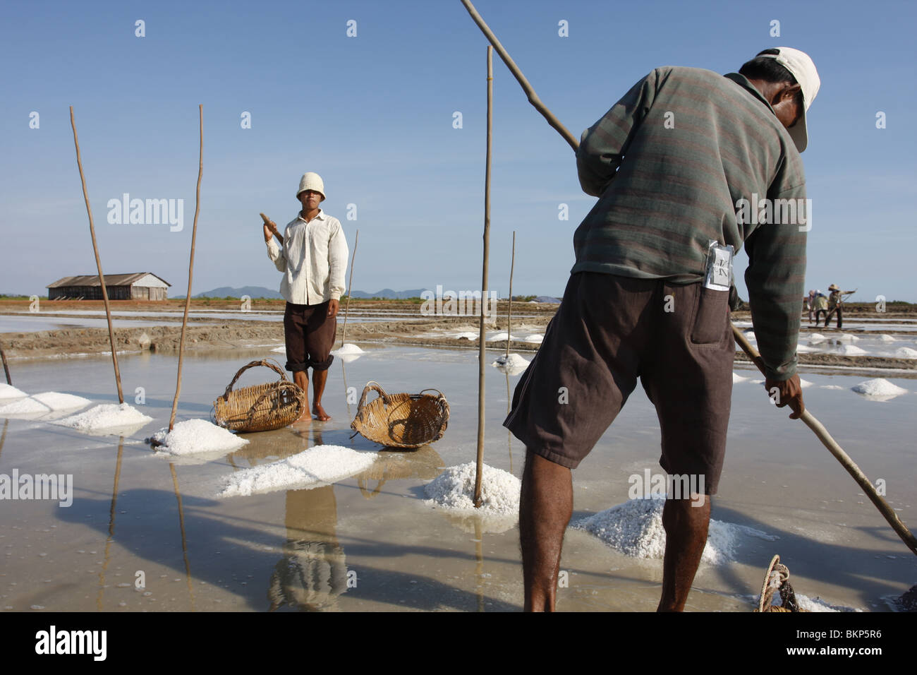 Manual farm work hi-res stock photography and images - Alamy