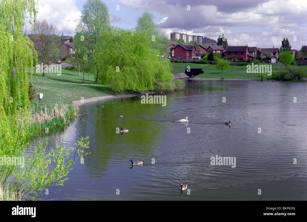 Lake in Spring at Lakeside on the border between Stourbridge & Brierley ...