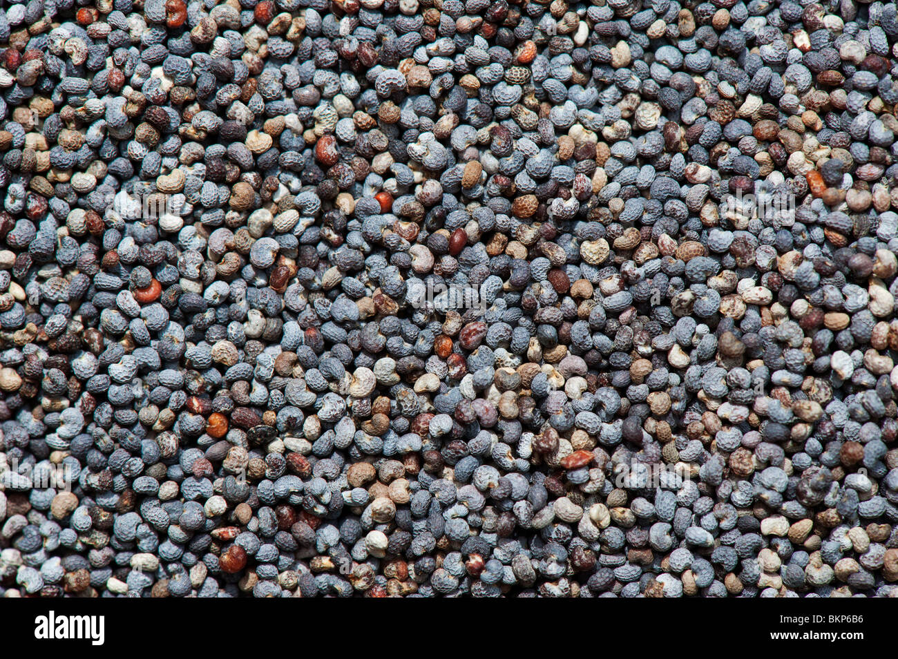 Small round seeds hi-res stock photography and images - Alamy