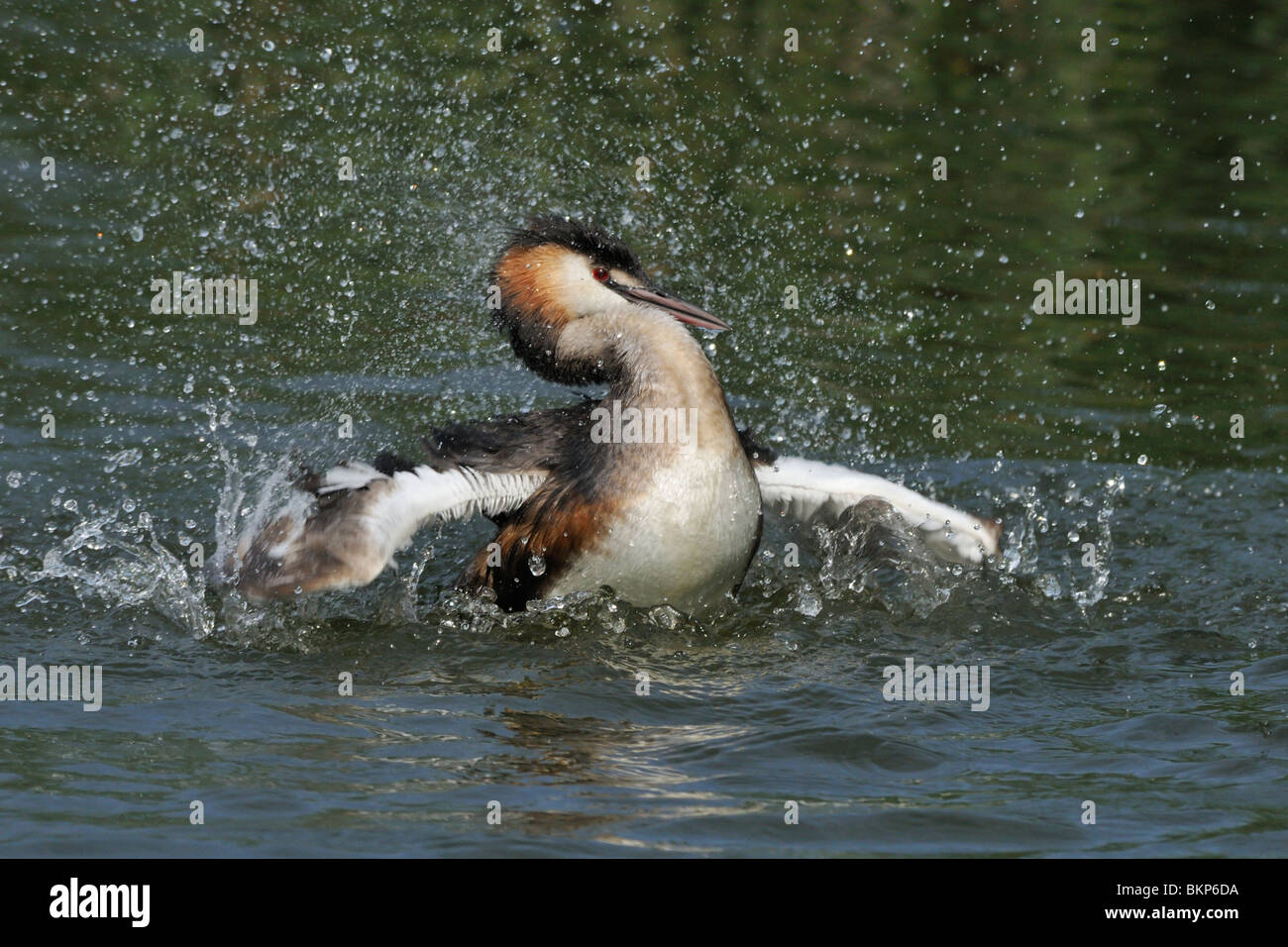 Badende hi-res stock photography and images - Alamy