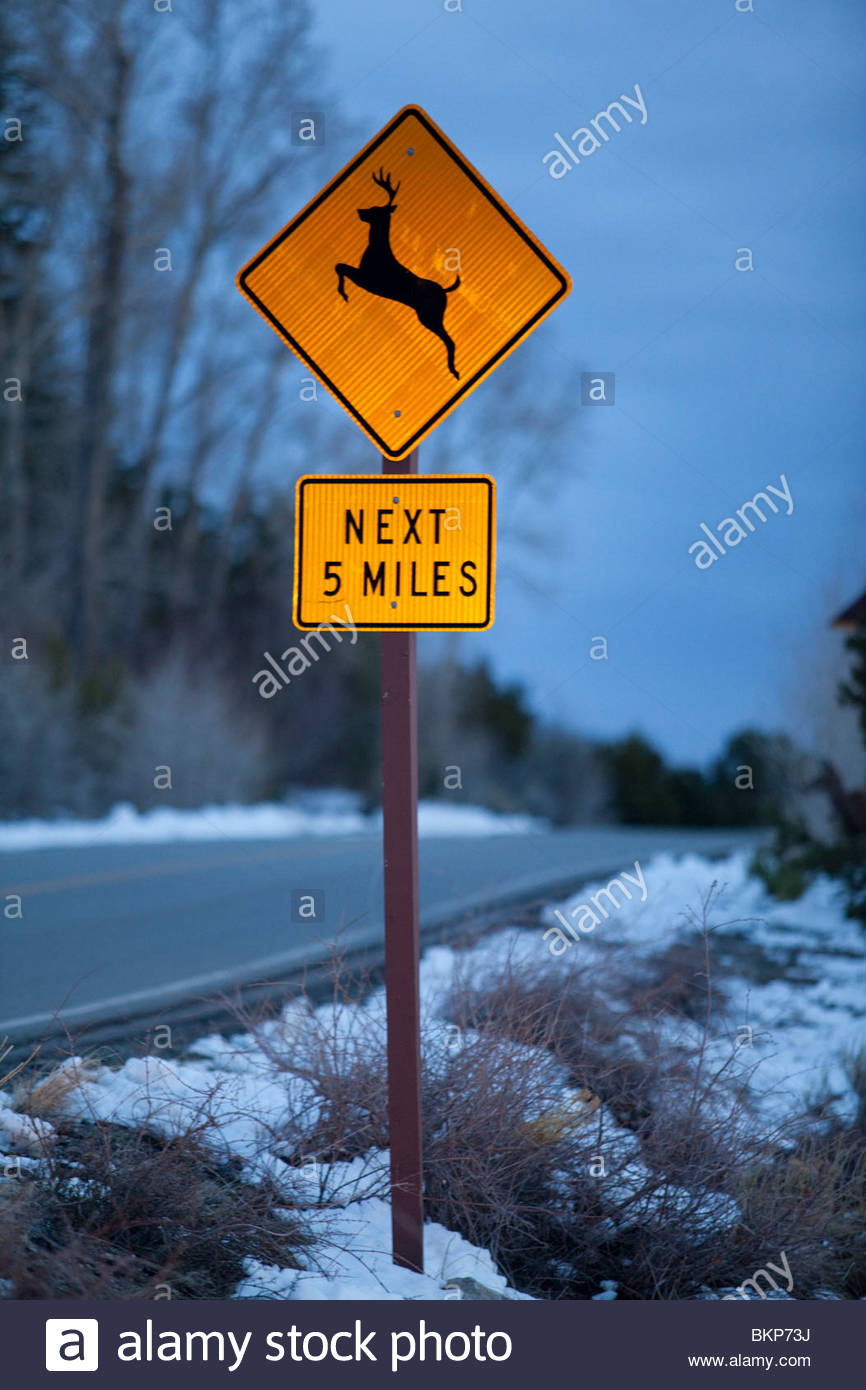 Deer Warning Sign Stock Photos & Deer Warning Sign Stock Images - Alamy