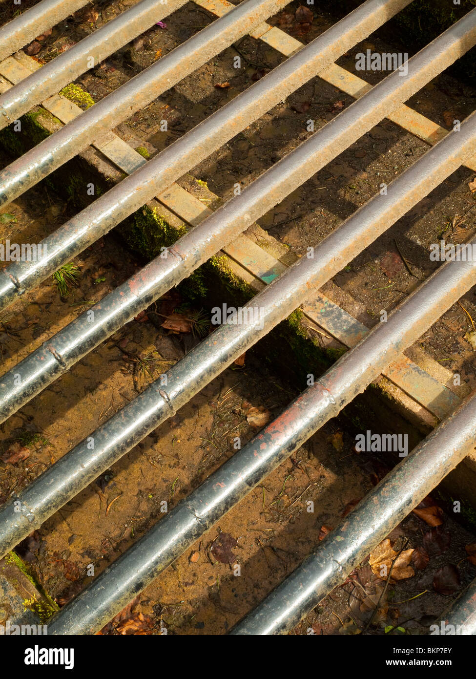 View looking down on a metal cattle grid used to prevent livestock from ...