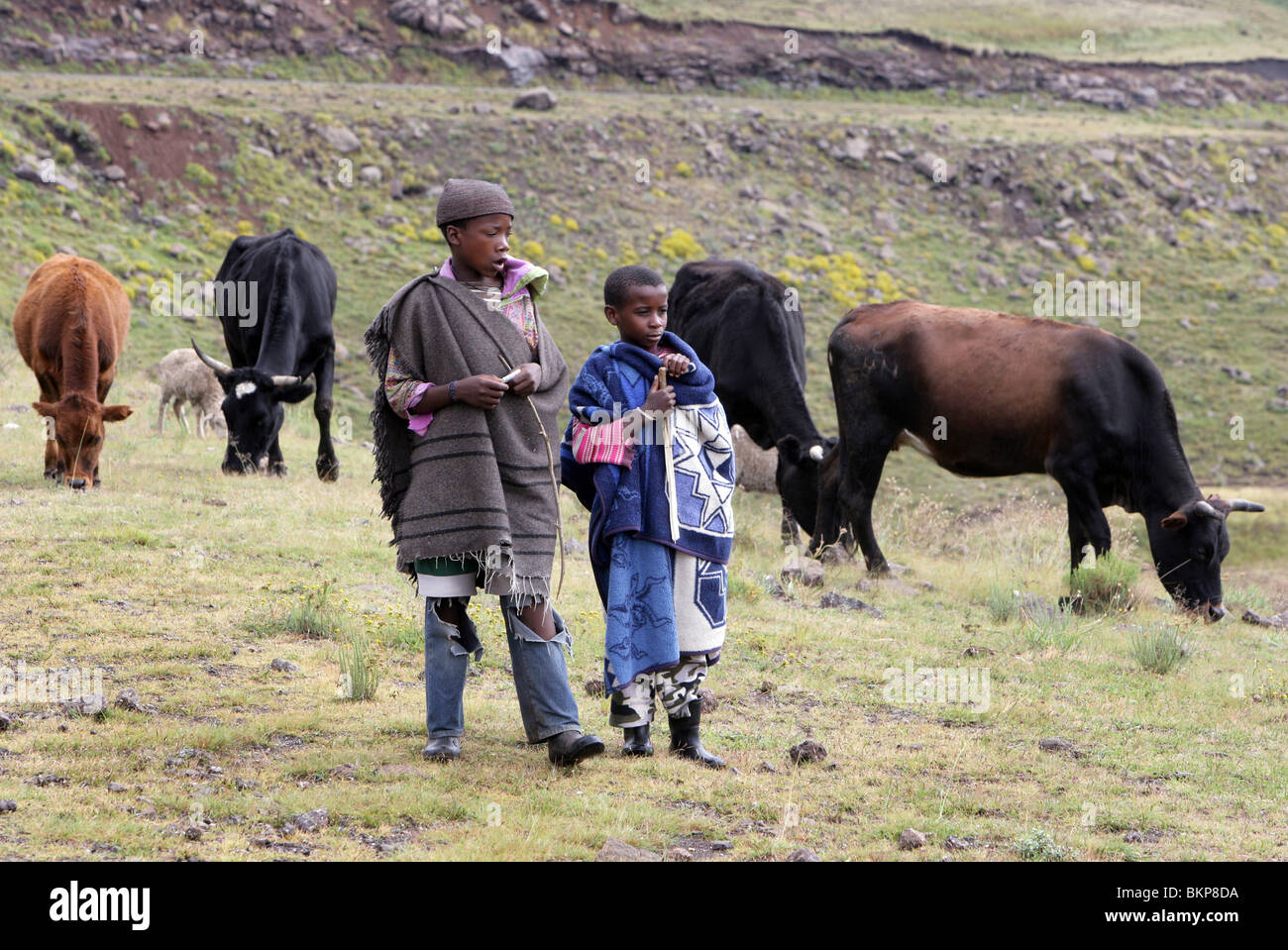 Lesotho mountains hi-res stock photography and images - Alamy