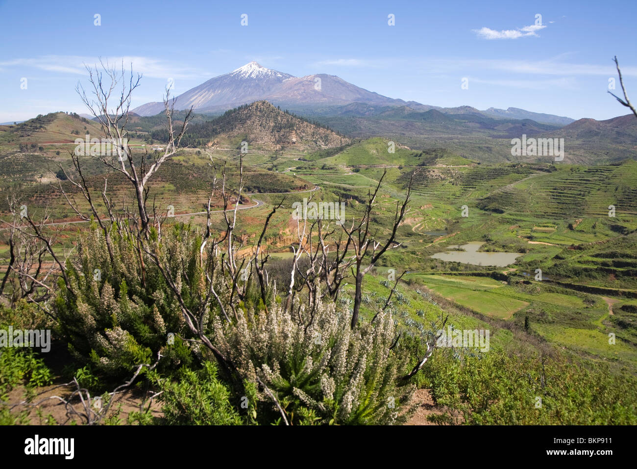 Mosquero hi-res stock photography and images - Alamy