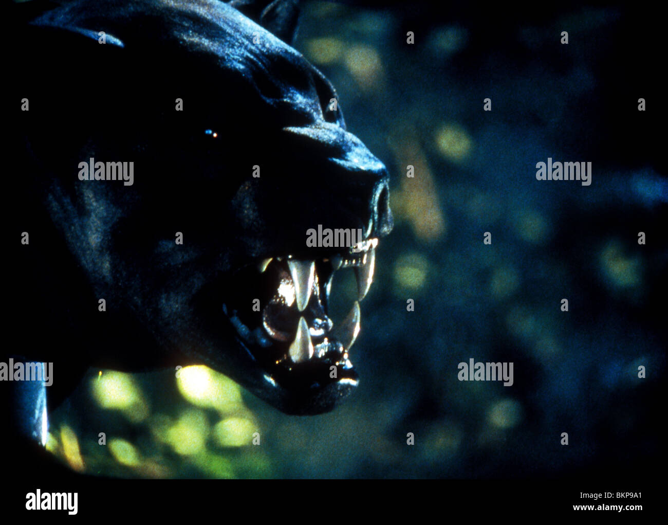 MANIMAL (TV) -1983 Stock Photo - Alamy