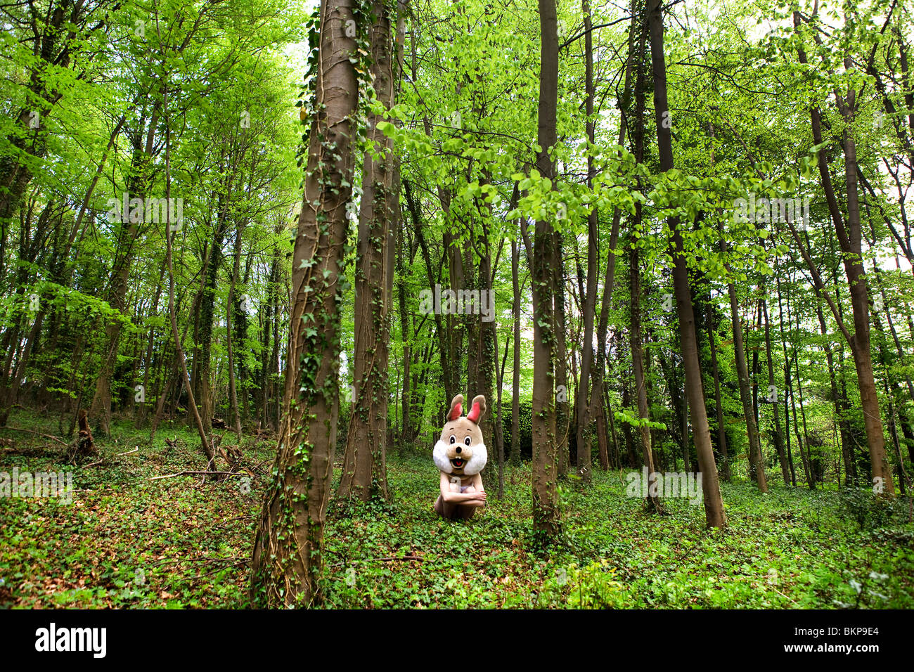 A Girl In A Bunny Costume Stock Photo Alamy A Girl In A Bunny Costume Stock Photo Alamy