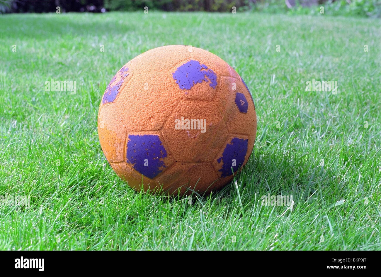 Orange Sponge Football on Lawn Stock Photo - Alamy