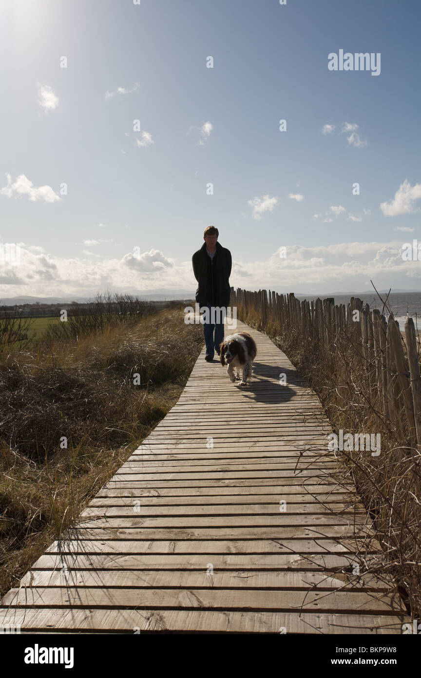 Boardwalks in the sand dunes of Prestatyn, North Wales, protecting the ...