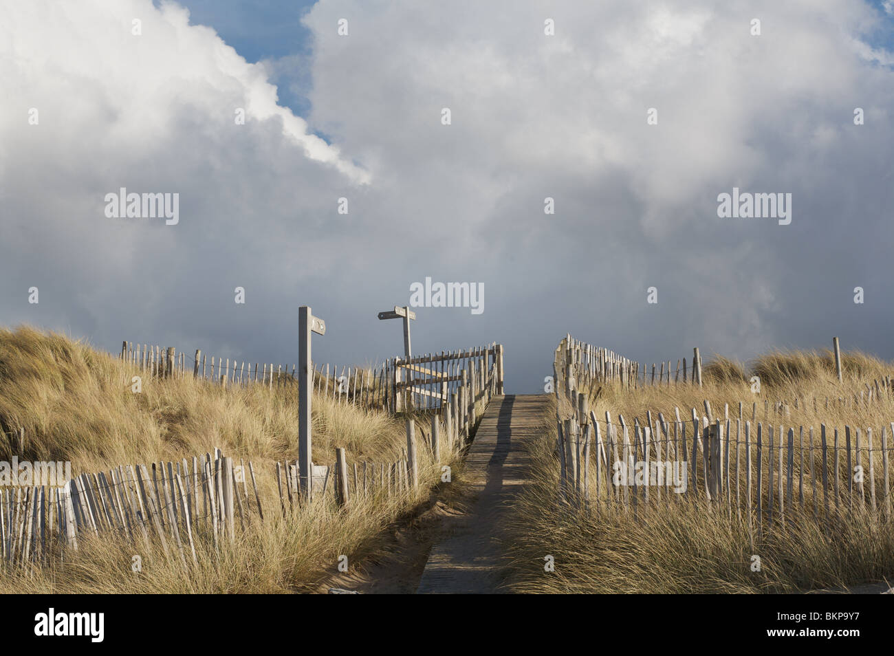 Boardwalks in the sand dunes of Prestatyn, North Wales, protecting the ...