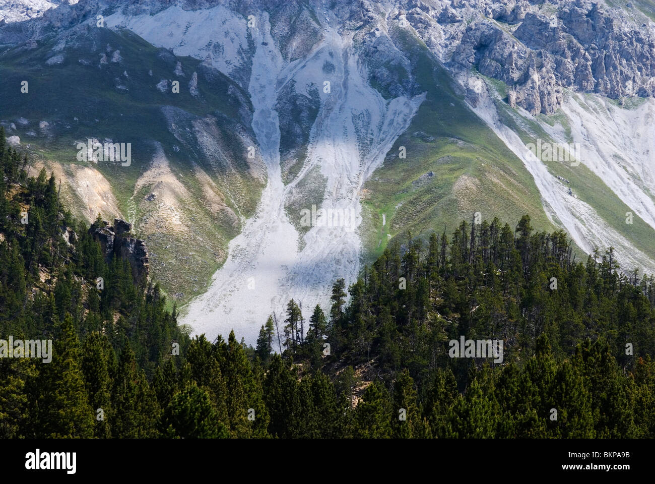 rotslawine zwitserland; rockflow switserland Stock Photo - Alamy