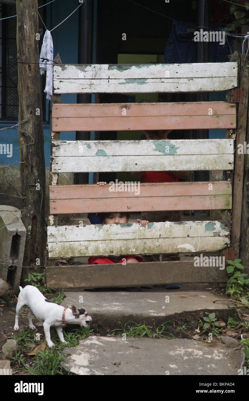 Costa Rican kids with a dog peaking through a fence Stock Photo - Alamy