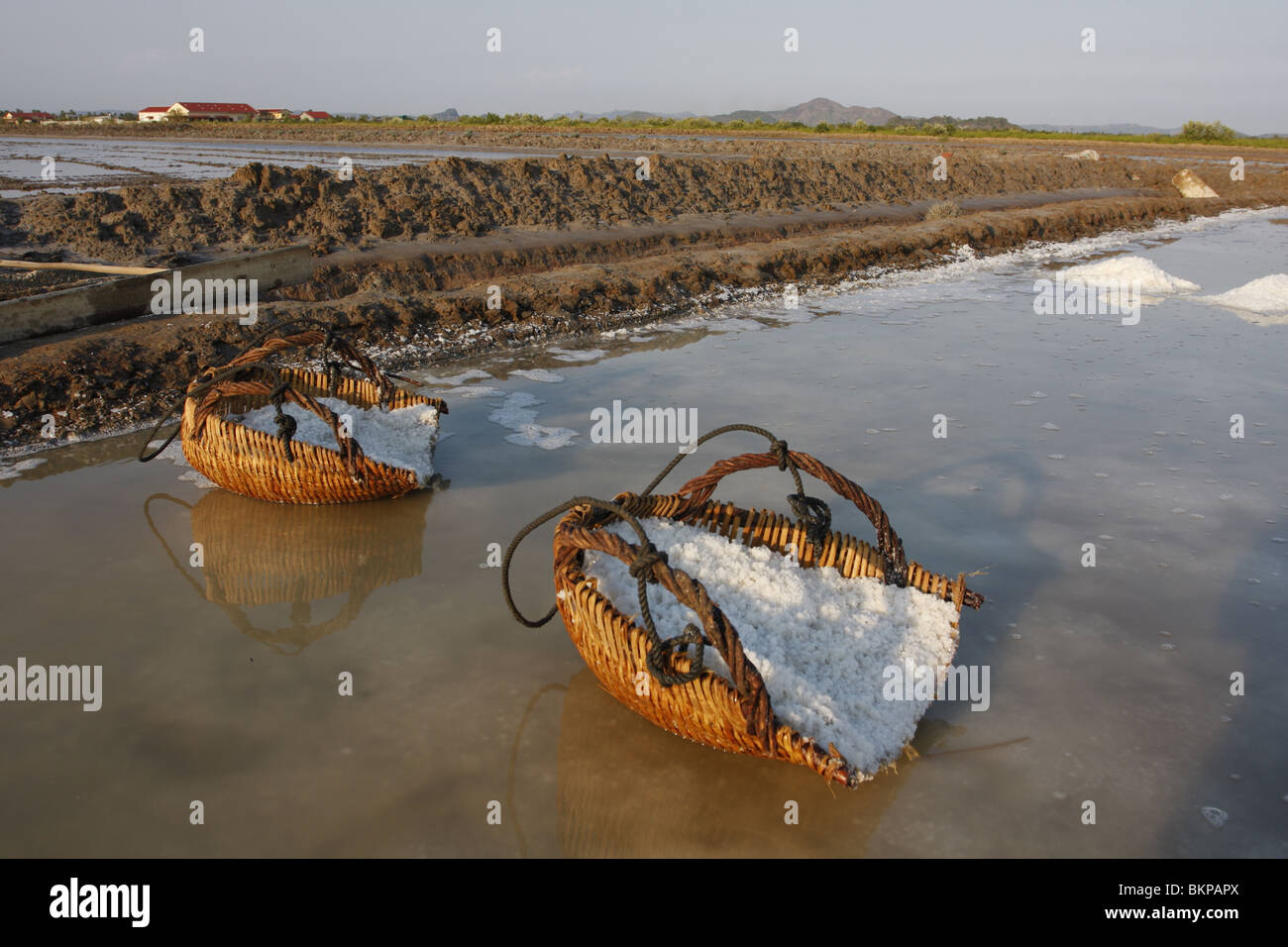 Cambodian salt farm hi-res stock photography and images - Alamy
