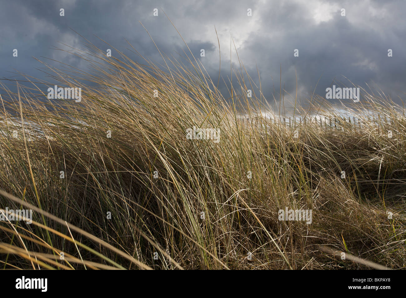 Warn when approaching hi-res stock photography and images - Alamy