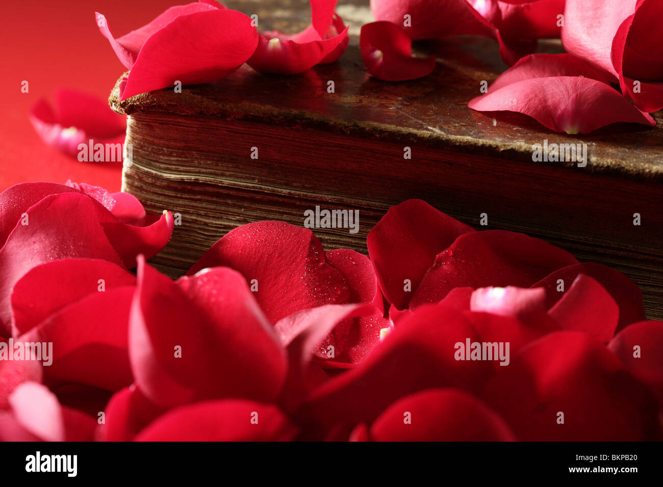 Rose petals over old aged book, romantic love metaphor Stock Photo - Alamy