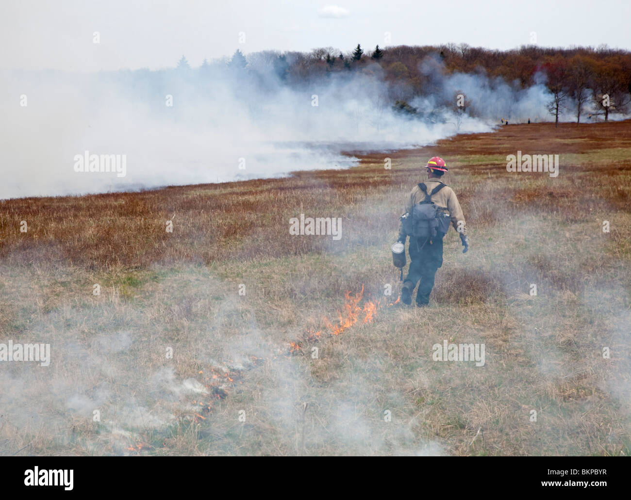 Controlled fire burn hi-res stock photography and images - Alamy