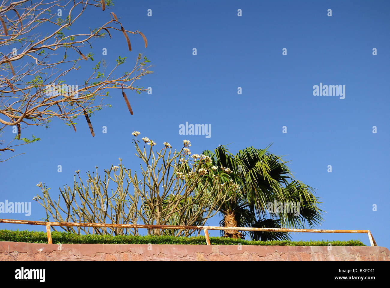 Egyptian still life Stock Photo - Alamy