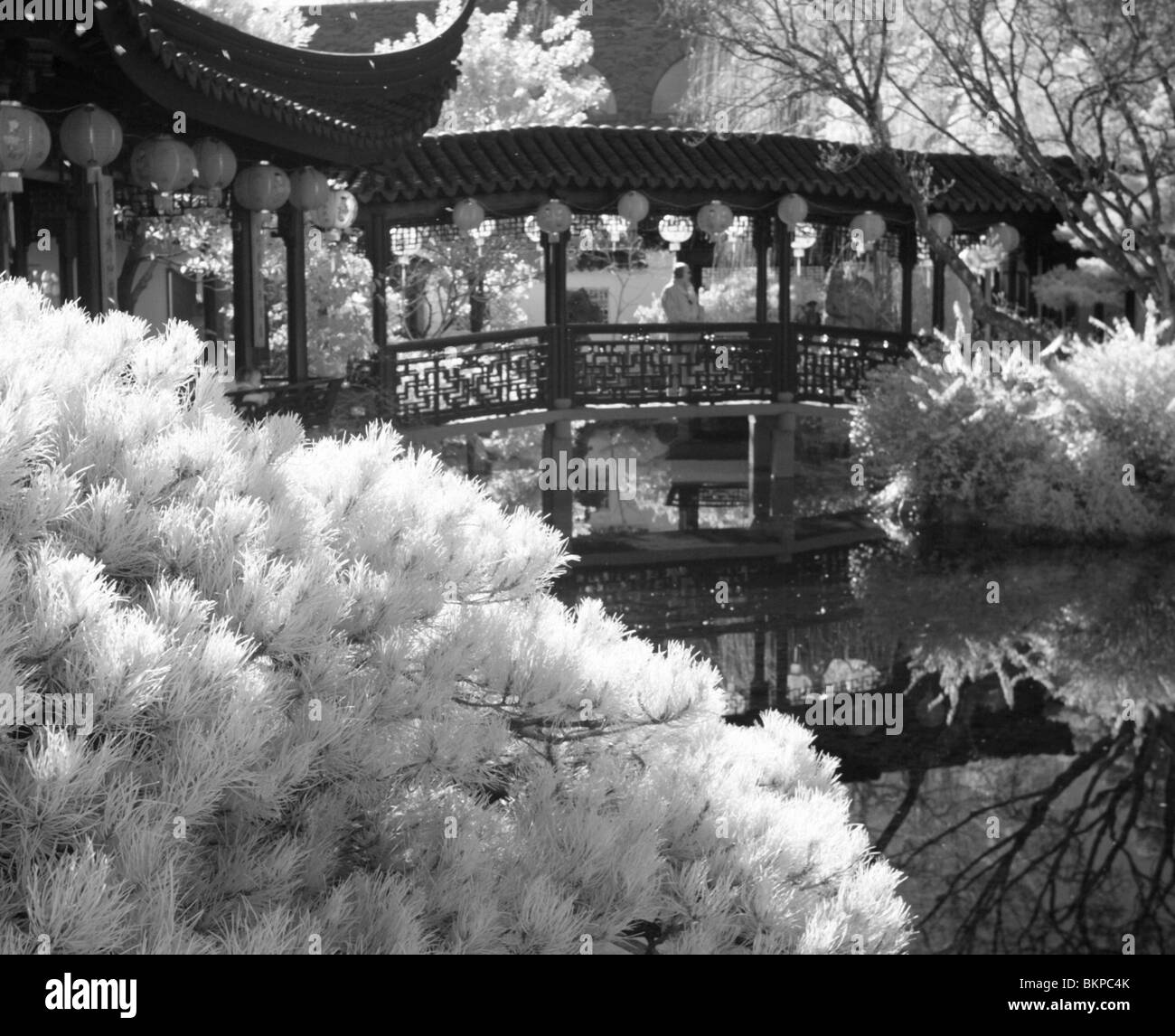 Garden Black and White Stock Photos & Images - Alamy