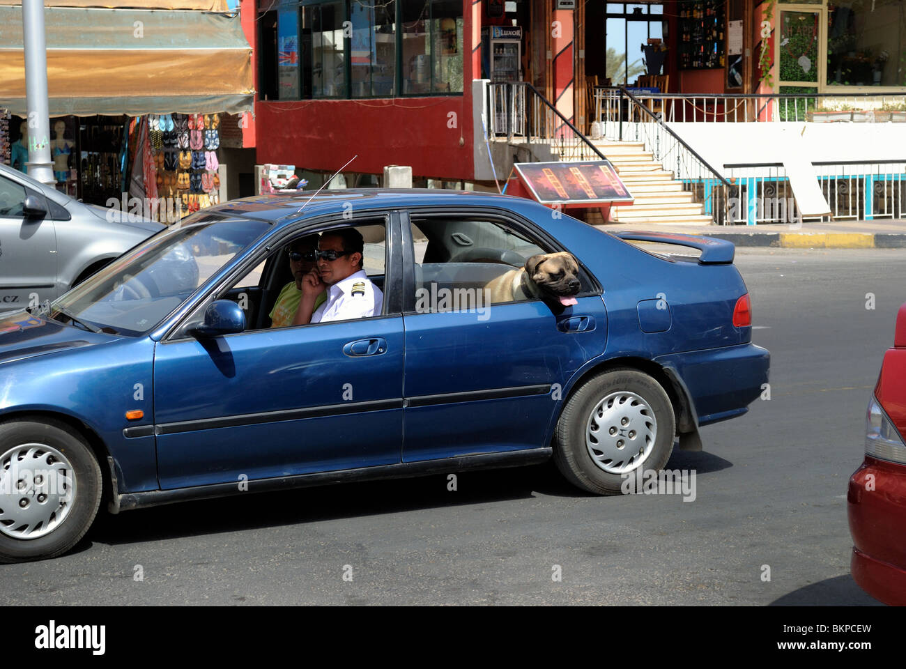 Street scene with policeman driving car and dog in backseat of car ...