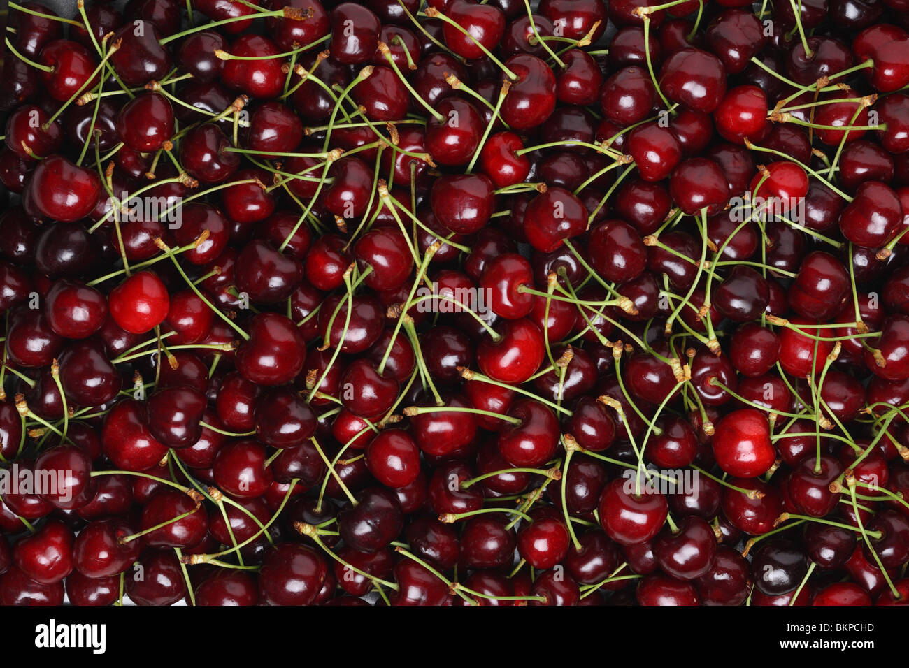 Background texture of fresh bing cherries Stock Photo - Alamy