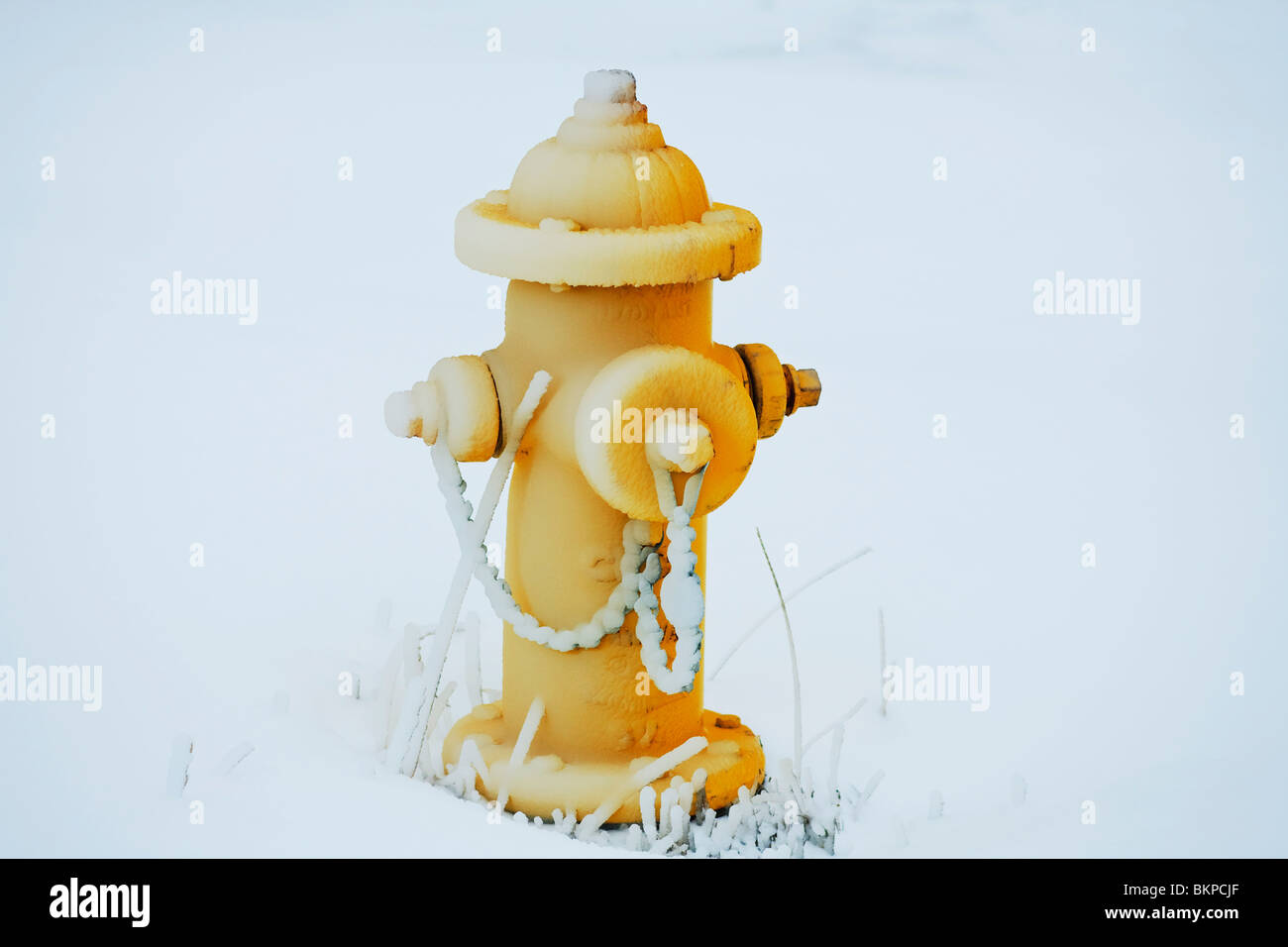 Firefighting fire seasons hi-res stock photography and images - Alamy