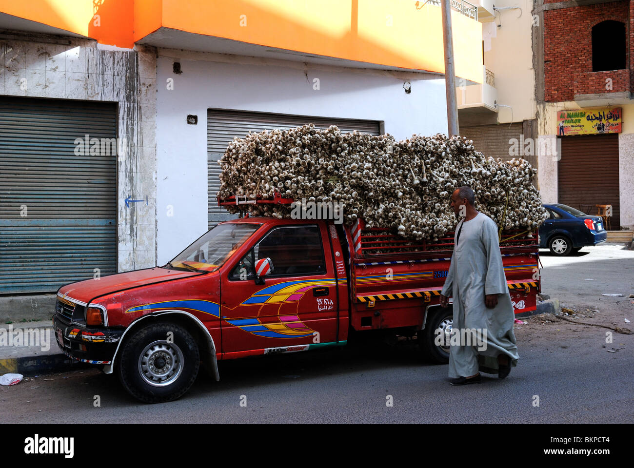 Pickup truck filled with garlic in Hurghada, Egypt Stock Photo - Alamy