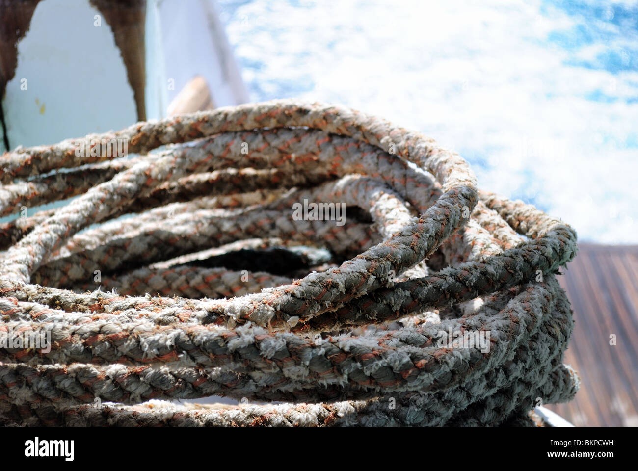Still life of coiled rope on a yacht deck Stock Photo - Alamy
