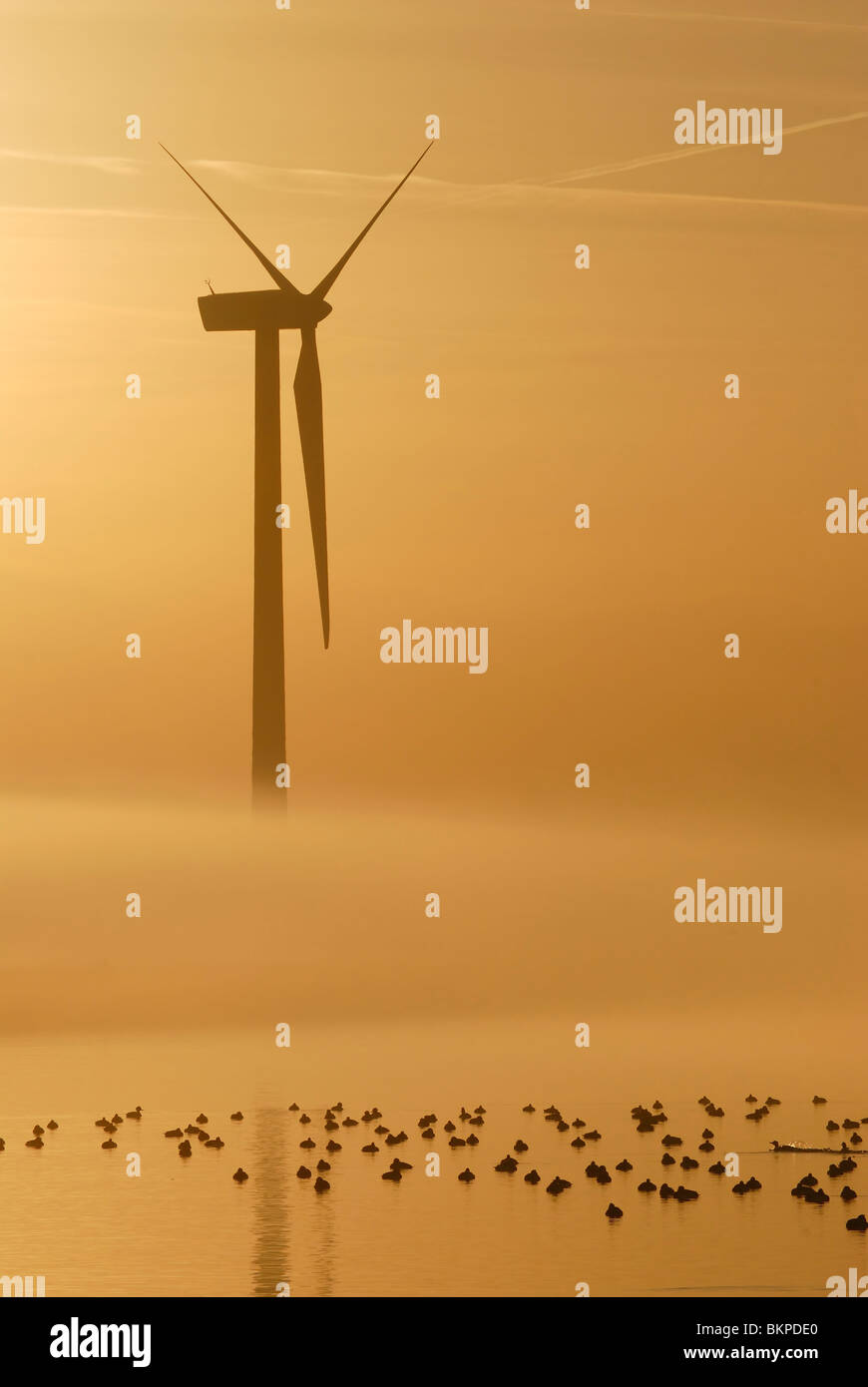 Fog wind turbine hi-res stock photography and images - Alamy