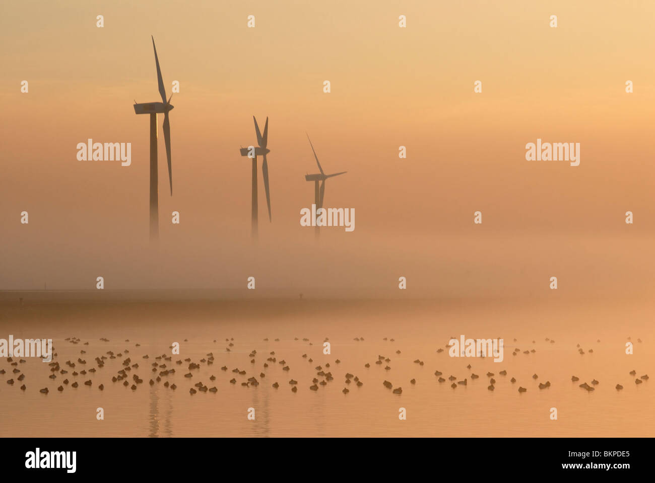 Windturbines in fog hi-res stock photography and images - Alamy