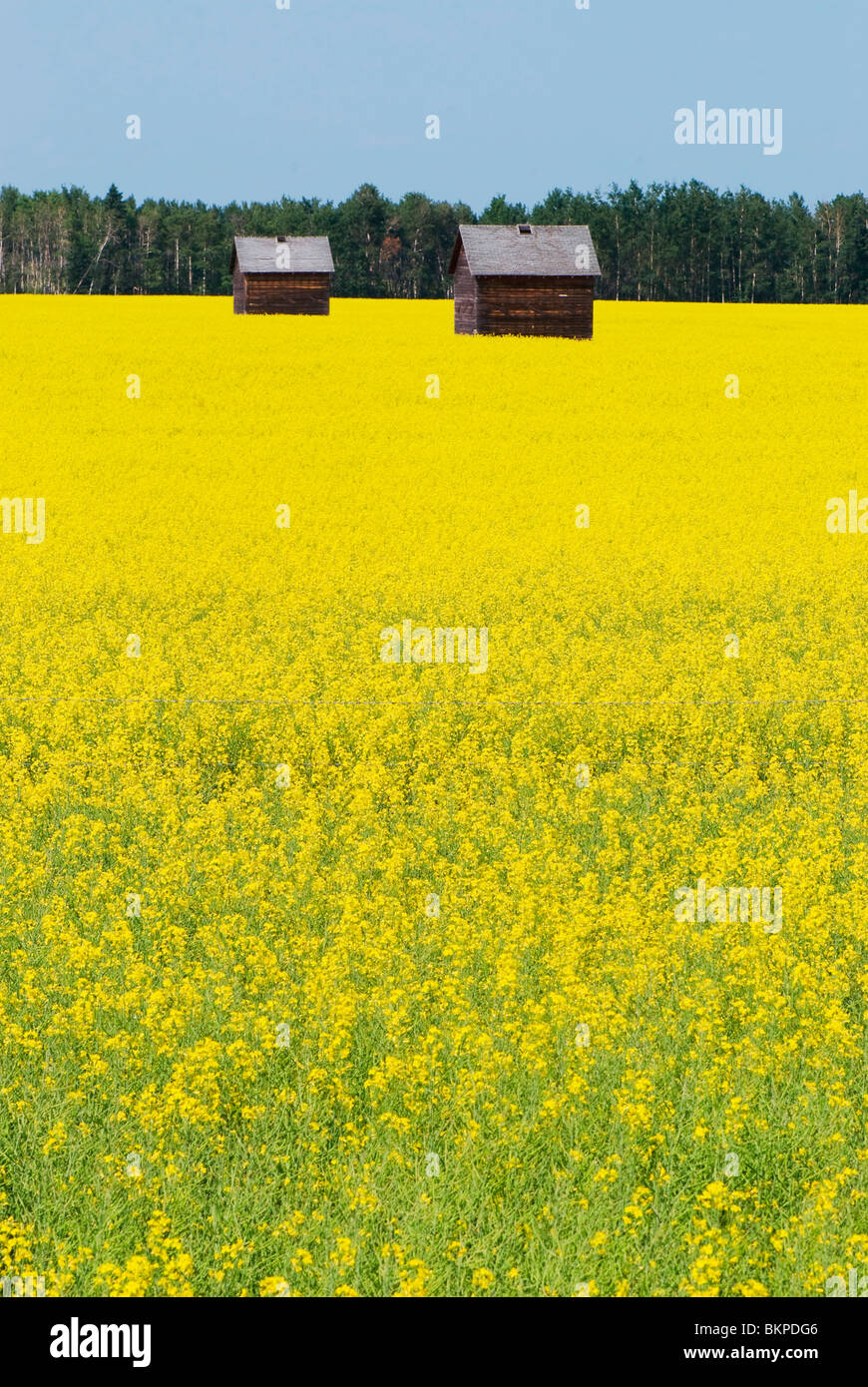 Two wooden shacks hi-res stock photography and images - Alamy