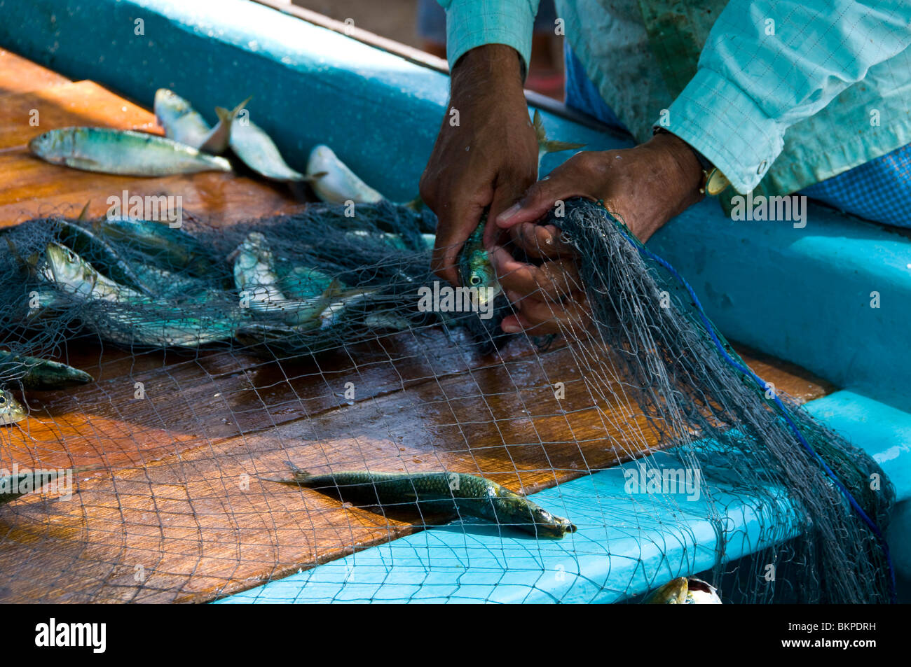 Fisherman sorting Fish nets Muscat Oman Stock Photo - Alamy