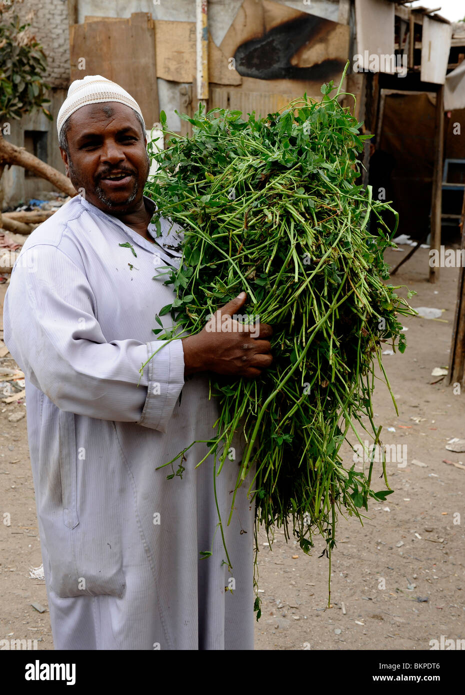 Zabbaleen community ,morkatam hills, , cairo , Egypt Stock Photo - Alamy