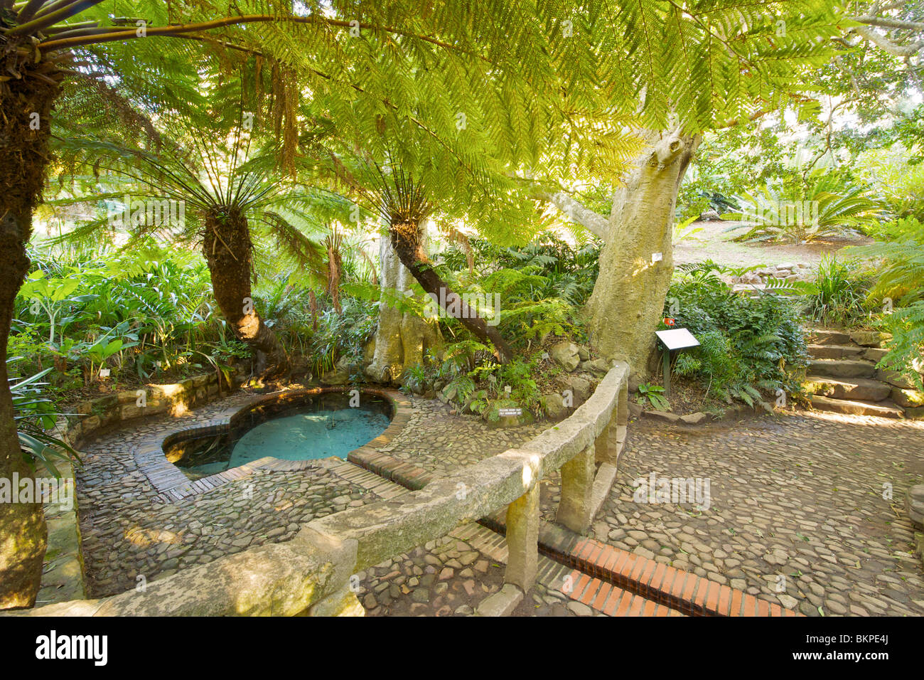 Colonel Bird's Bath in the Kirstenbosch Botanical Gardens in Cape Town ...