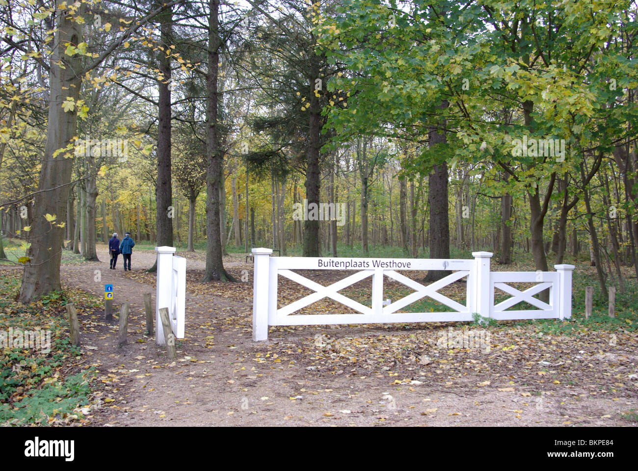 Wandelende mensen door herfstbossen in landgoed Westhove in de ...