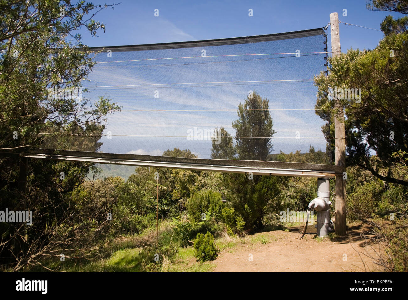 Fog nets water hi-res stock photography and images - Alamy
