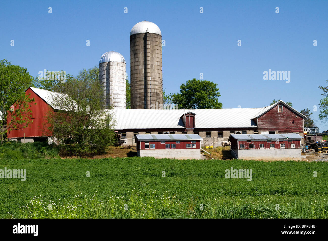 Farm silos hi-res stock photography and images - Alamy