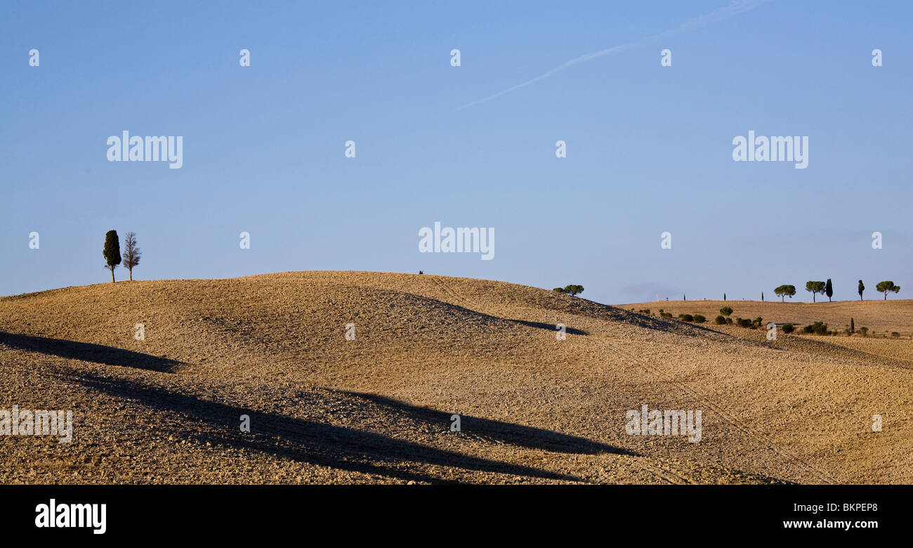 typical tuscan landscape Stock Photo - Alamy