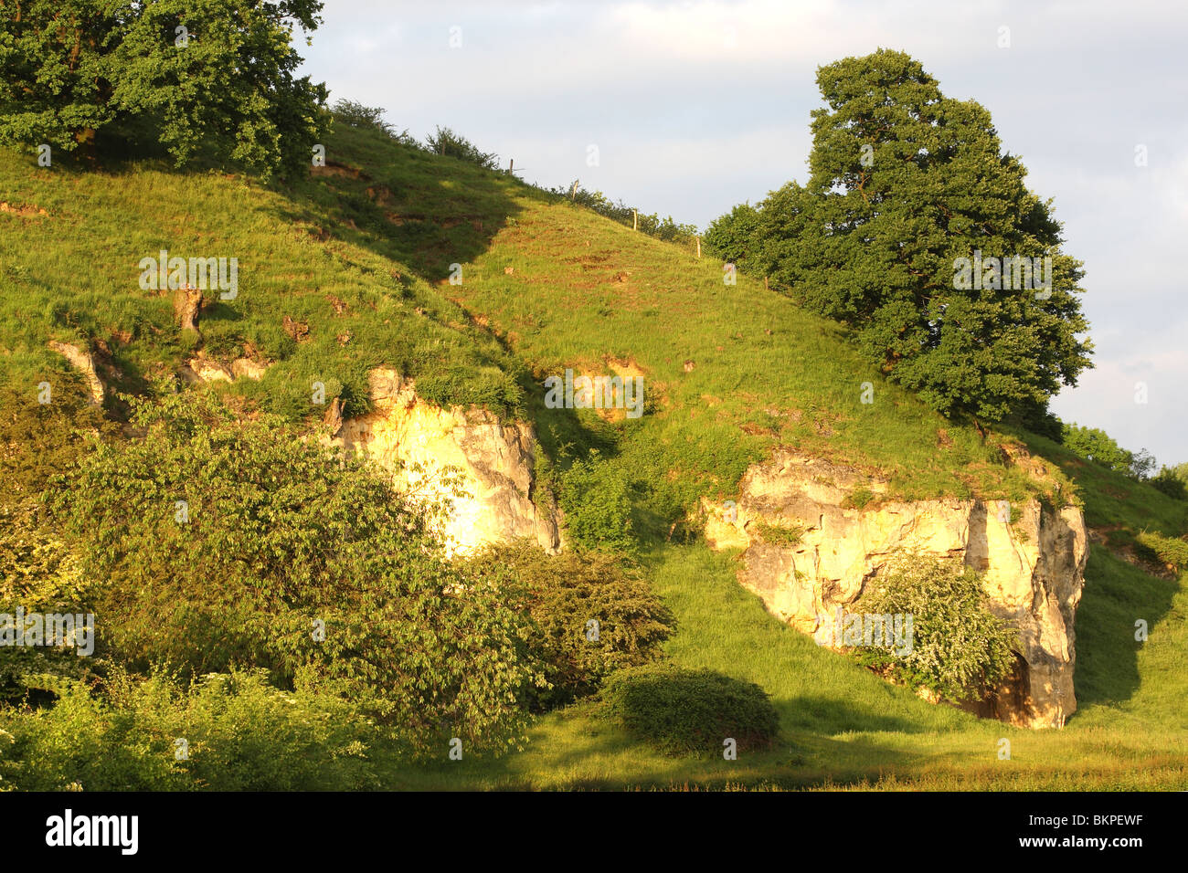 Kalkhelling in Zuid-Limburg, Nederland Alcareous slope in Zuid-Limburg ...