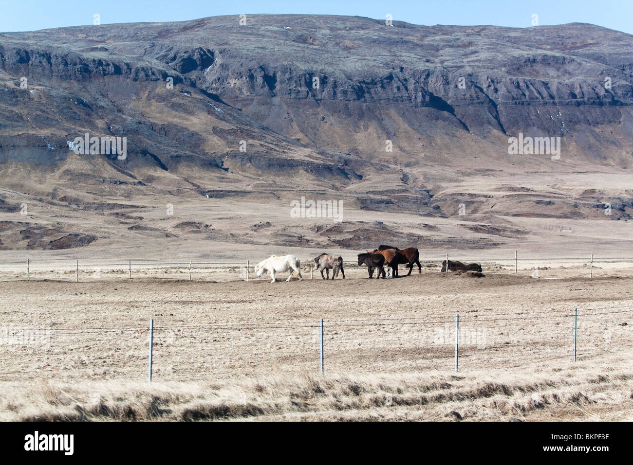 Barren landscape hi-res stock photography and images - Alamy