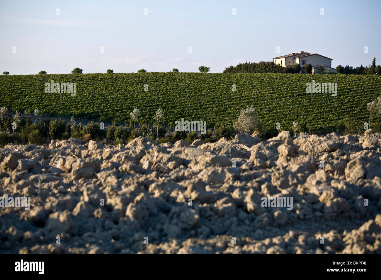 typical tuscan landscape Stock Photo - Alamy