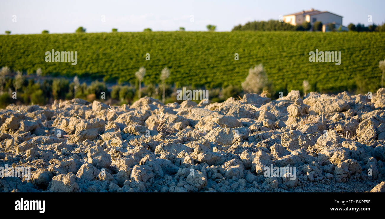 typical tuscan landscape Stock Photo - Alamy