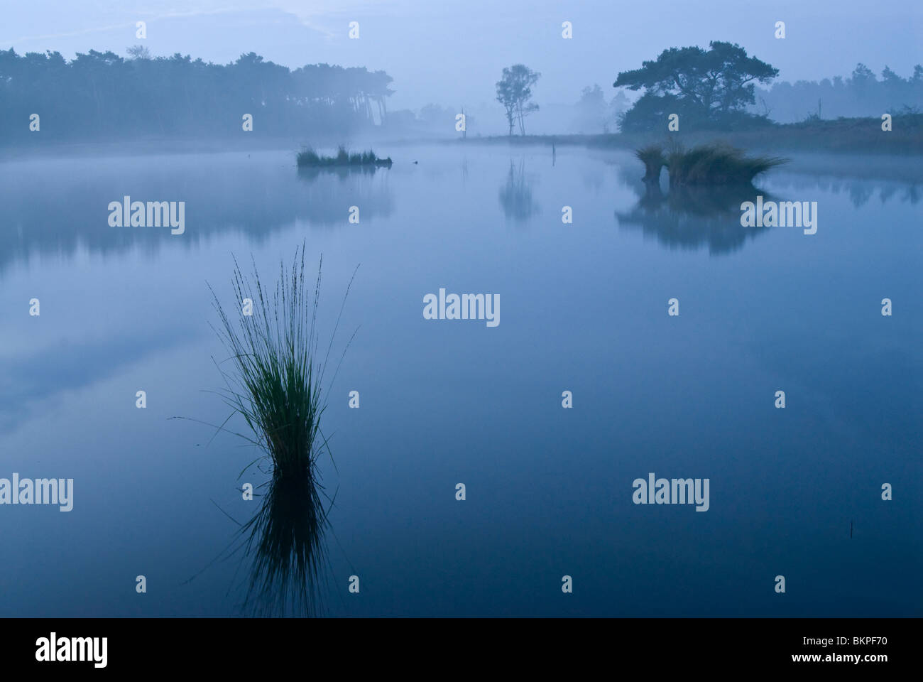The true morning hi-res stock photography and images - Alamy