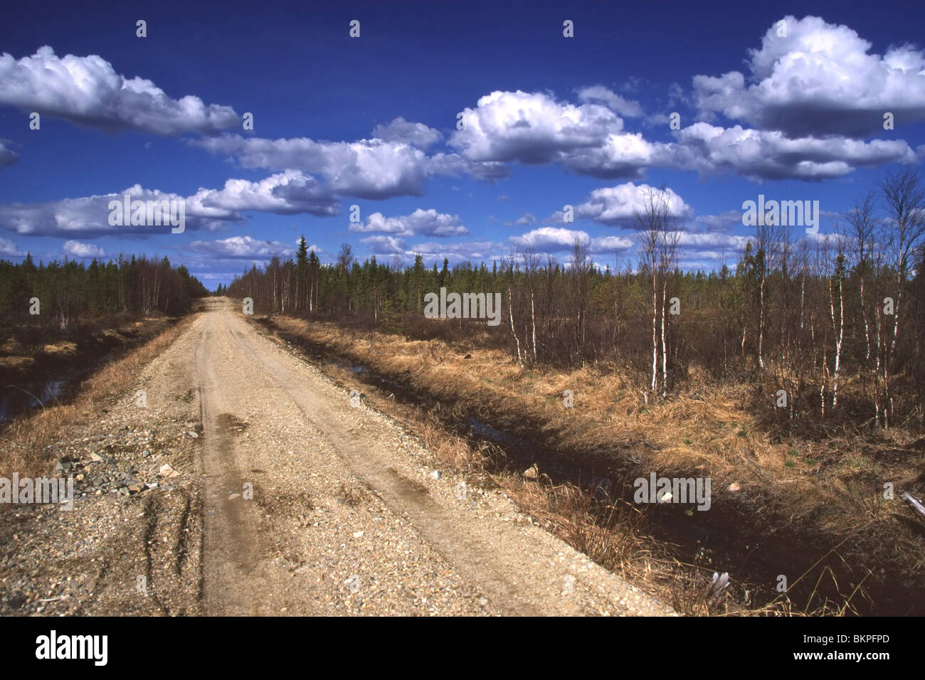 Tundra and taiga forest hi-res stock photography and images - Alamy