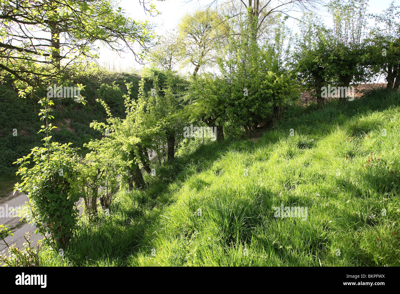 Bocagelandschap met hagen en bomen, Voeren, België Bocage landscape ...