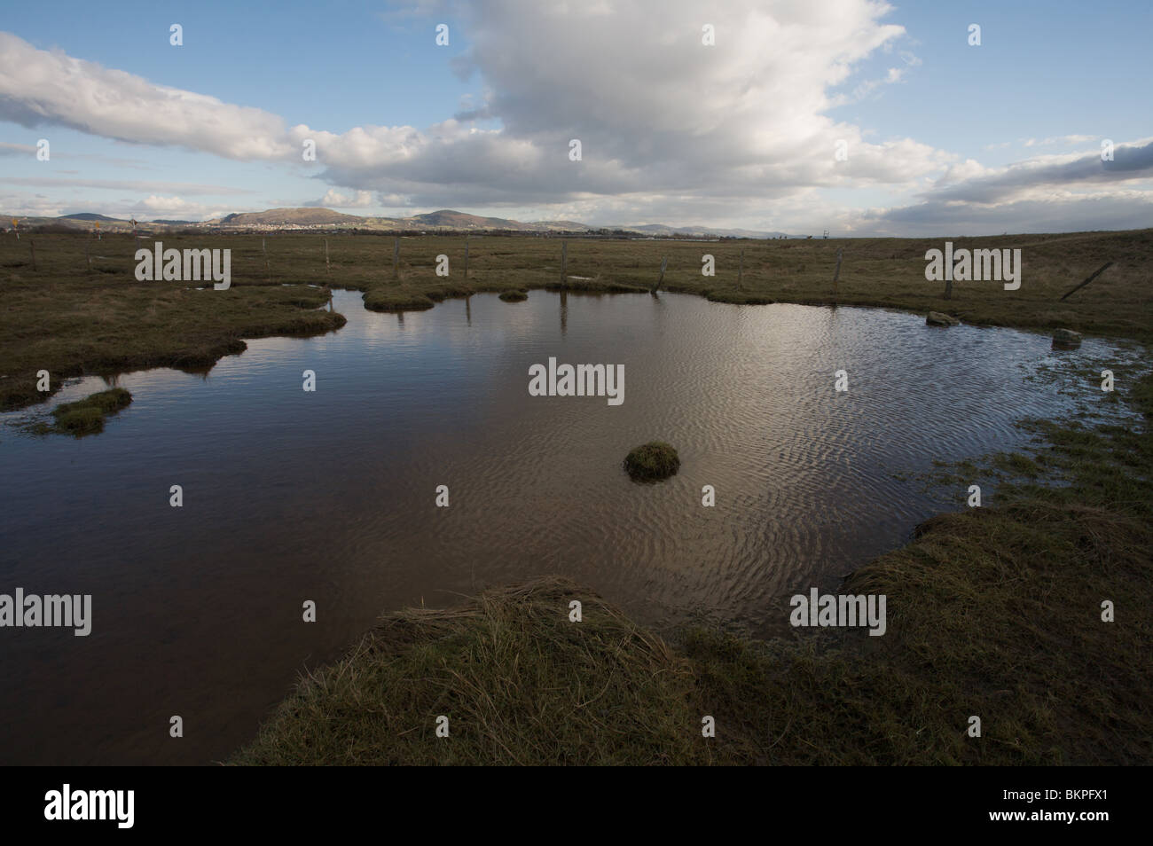 Marshes at the mouth of the river Clwyd in North Wales Stock Photo - Alamy