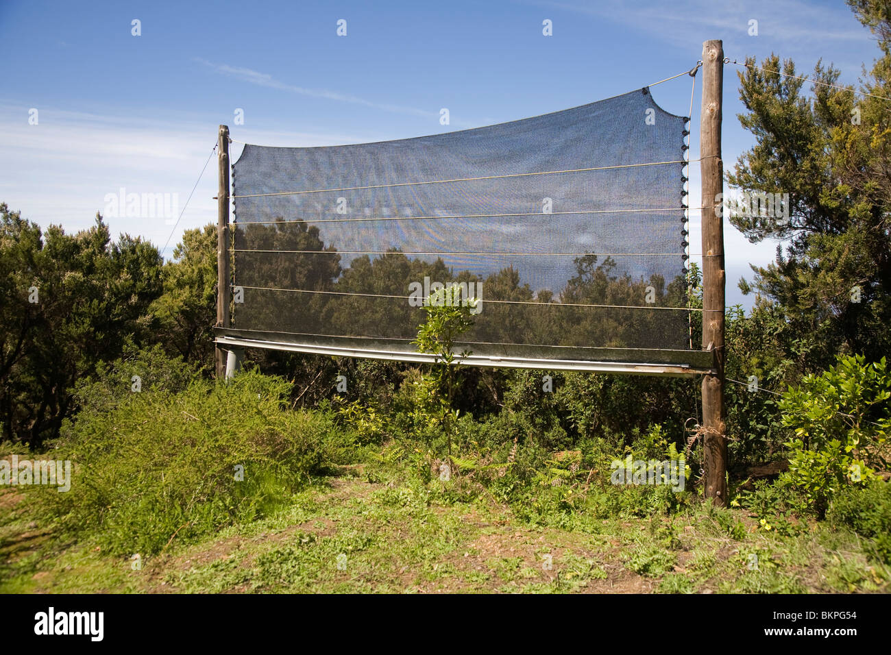 Water catchment with nets from fog and clouds Stock Photo - Alamy